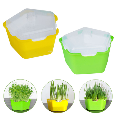 1PC Pentagonal Box Sprouts Seedling Tray Multifunctional