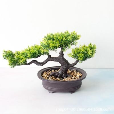 Welcome pine bonsai decoration simulation plant bonsai home