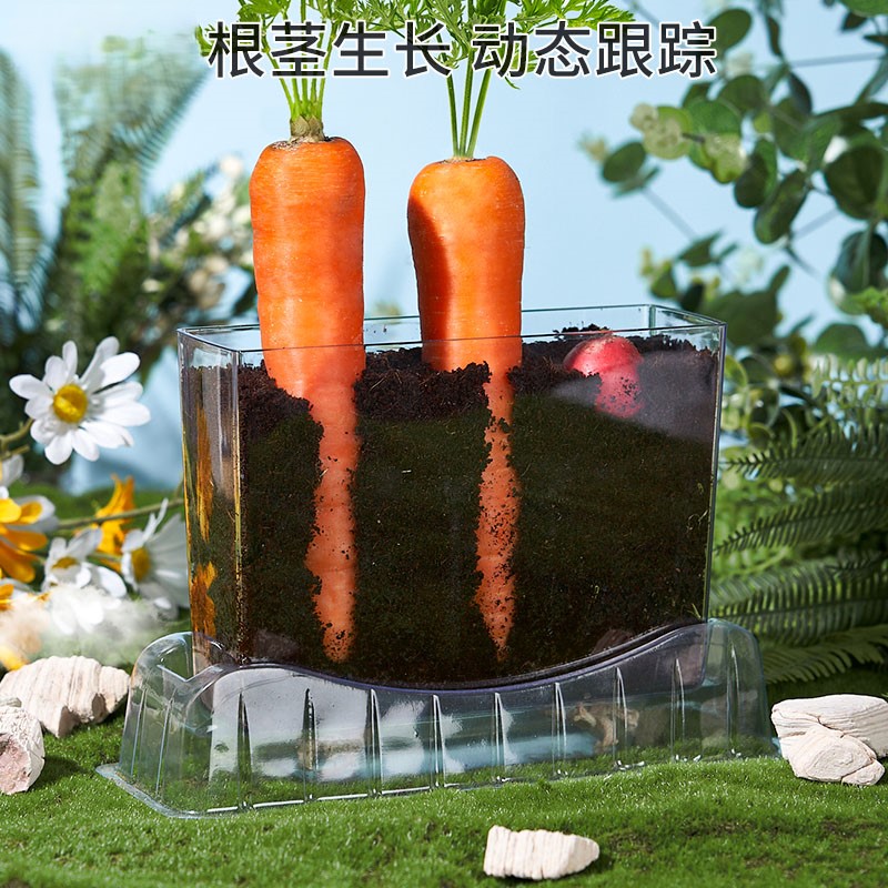 阳光种植房儿童科学小实验套装种菜植物生长观察盒玩具