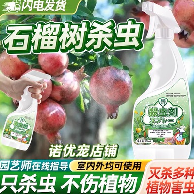 石榴树花害虫杀虫剂专用药灭杀