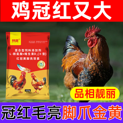 红冠黄脚亮羽素公鸡阉鸡土鸡番鸭