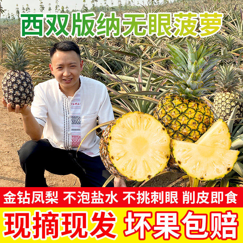云南西双版纳无眼香水小菠萝当季水果新鲜现摘金钻凤梨特产孕妇