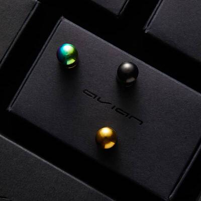 Avian飞鸟钛合金气嘴帽山地车公路车自行车法嘴气门帽防尘盖