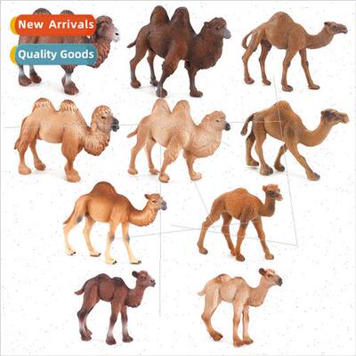 Desert simulation animal solid camel model ornament wildlife