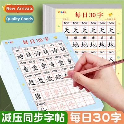 Reduced sss character posters 30 words a day practice book l