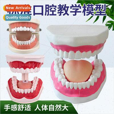 Dental materials/dental supplies/oral instruments/dental tea