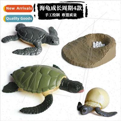 animal model sea turtle butterfly rooster frog salmon growth