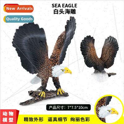 Children bird eagle wings whe-headed sea eagle model ornamen