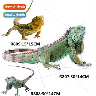 zard decals lizard gecko creative new car stickers