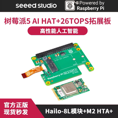 Al Kit人工智能套件Hailo8l 13Tops算力 M.2 hat Pl5 CM4