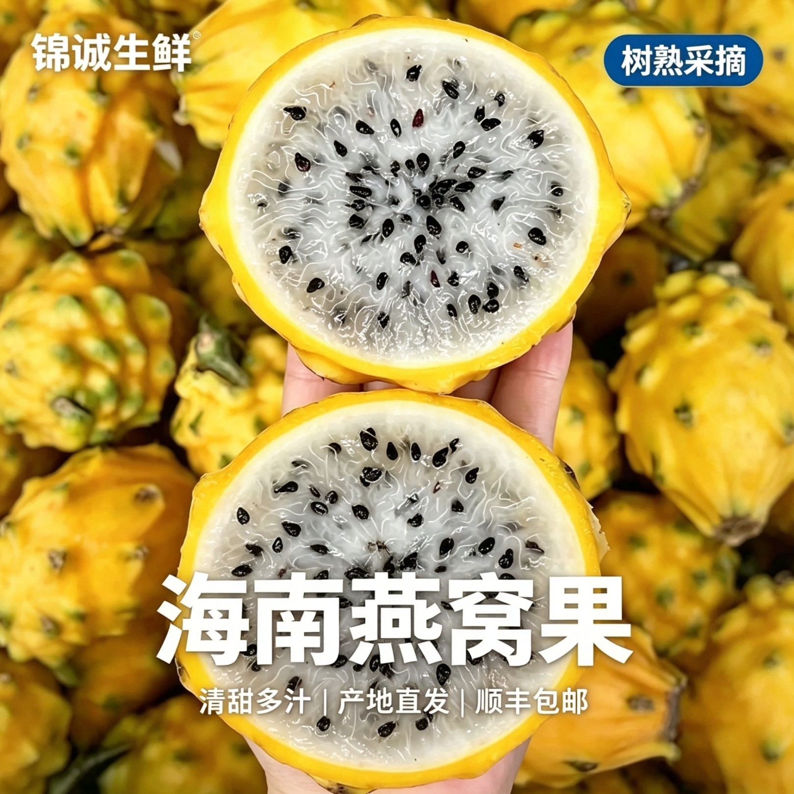 顺丰包邮 燕窝果海南麒麟果黄金火龙果产地直发清甜多汁礼盒装