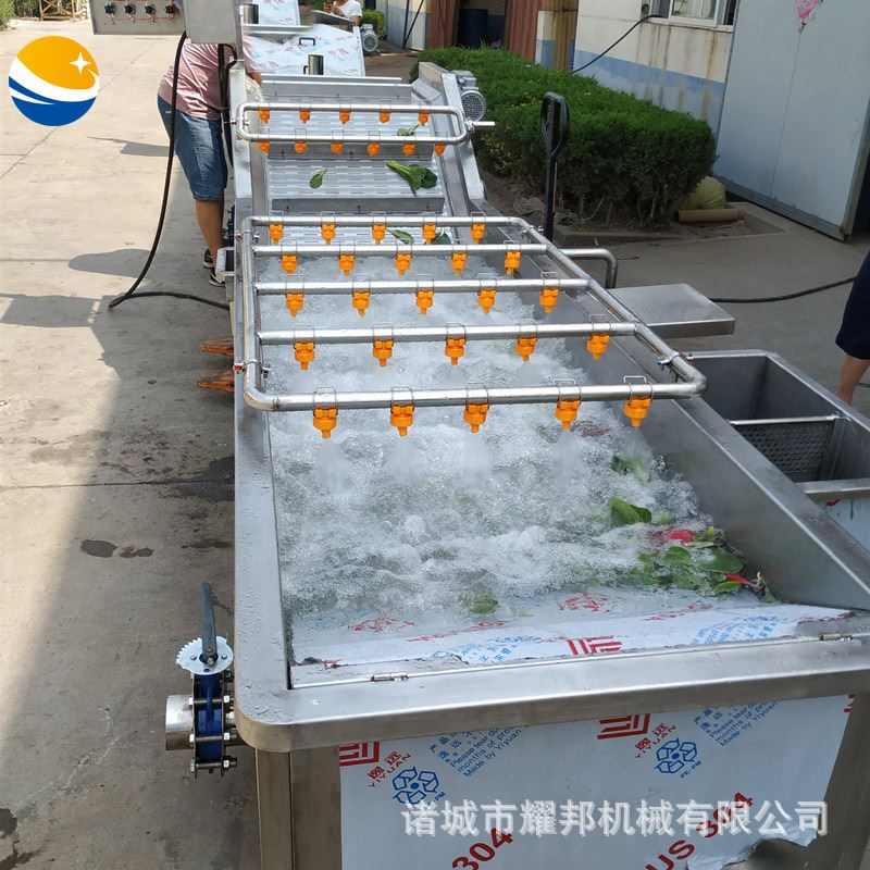 菠菜气泡履带式清洗机 自动蔬菜漂烫预冷清洗设备 豆芽清洗流水线