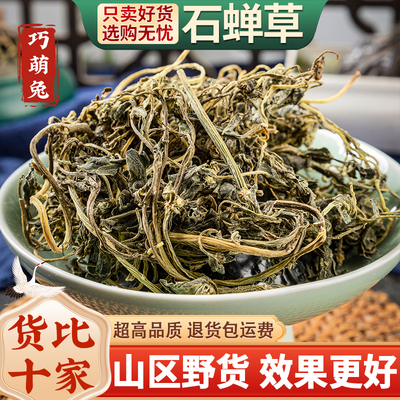 石蝉草中药材 新货 500g克包邮 正品石禅草 火伤叶 散血胆 胡椒草
