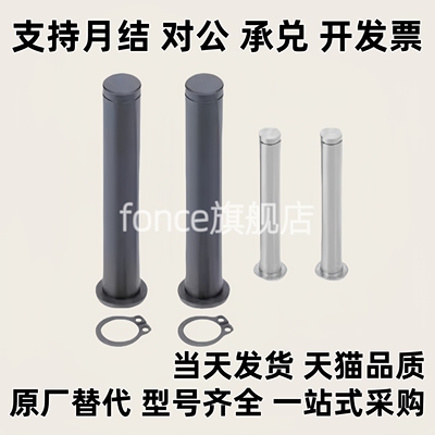 铰链销CCG CCGH SHCCG SHCDG SHCCGH3 4 5 6 8 10-10 15 20 25 30