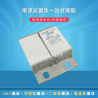 170M1850 1851 1852 1853 1860 1861 1862 1863快速熔断器保险丝
