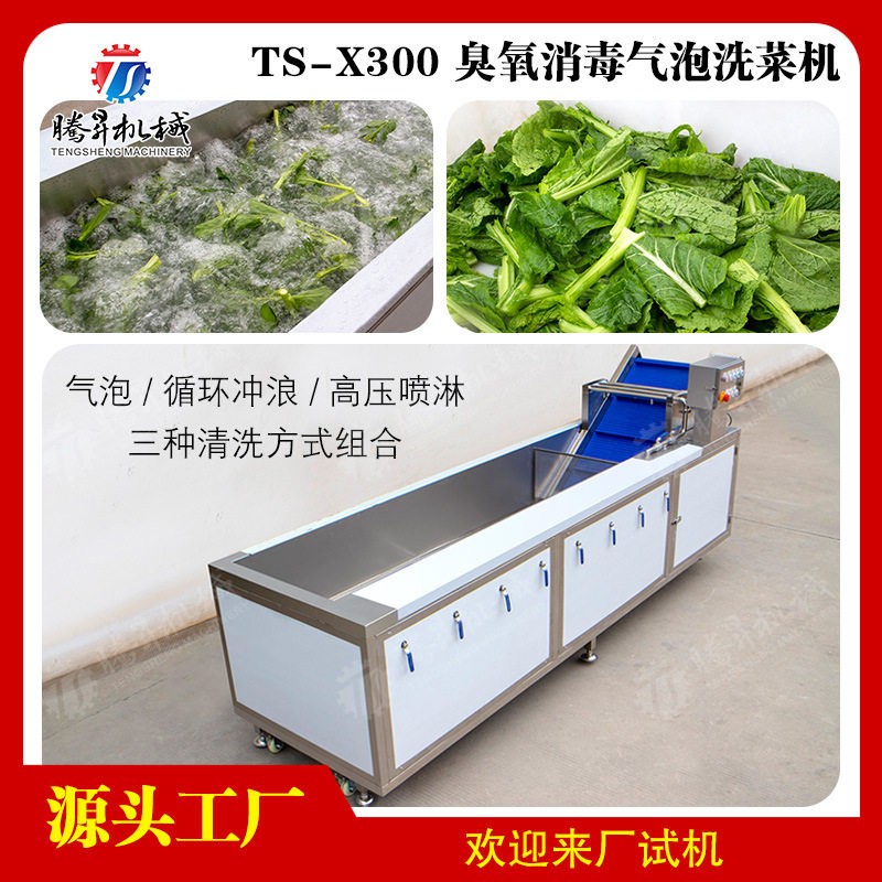 蔬菜鼓泡清洗机 商用臭氧洗菜机 超声波洗菜机 水果洗果机