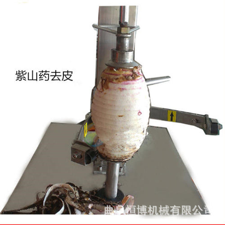 直销蜜瓜削皮机 商用不锈钢哈密瓜去皮机 恒博工业果蔬削皮设备