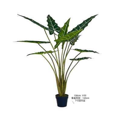 仿真利绿安海JK—萨利芋盆栽北欧风仿真海外芋树室内各萨种仿真植