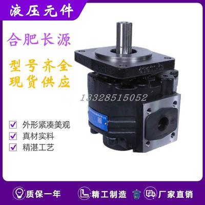 新款合肥长源CBGX/CBGZ/CBGTC2040/2050/2063/2080/2100-BFP/BLHL