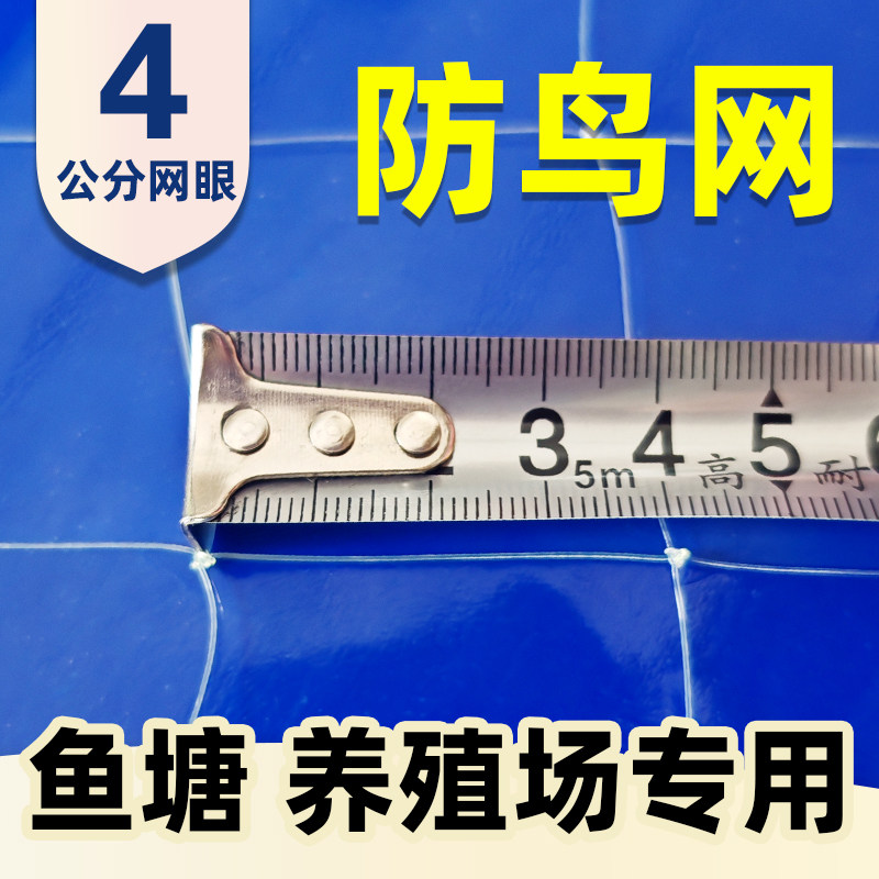 鱼塘稻田防鸟网天网4厘米网孔池塘养殖泥鳅青蛙龙虾尼龙网防白鹭