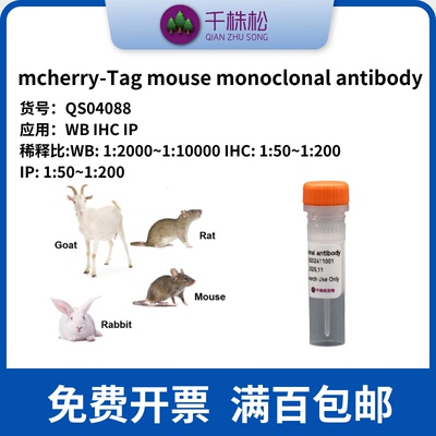 mcherry-Tag mouse monoclonal antibody WB IHC IP实验 标签抗体
