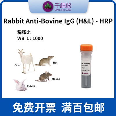 Rabbit Anti-Bovine IgG (H&L) - HRP，二抗，WB/ELISA/IHC实验