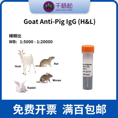 Goat Anti-Pig IgG (H&L) ，WB/ELISA/IHC
