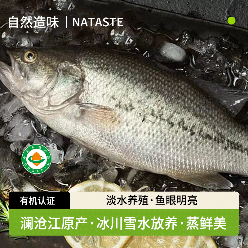 有机鲈鱼澜沧江淡水清蒸红烧有机码溯源孕妇宝妈安心食材3条900g