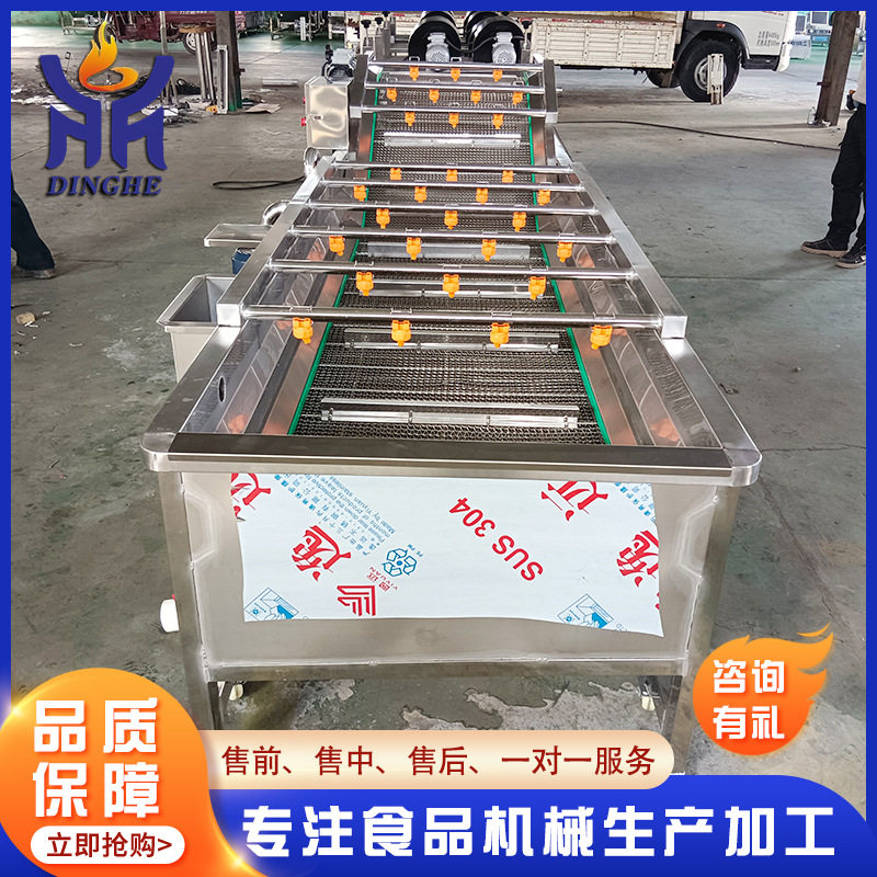 厂家供应果蔬清洗机 净菜蔬菜气泡清洗机 叶菜类白菜气泡清洗机