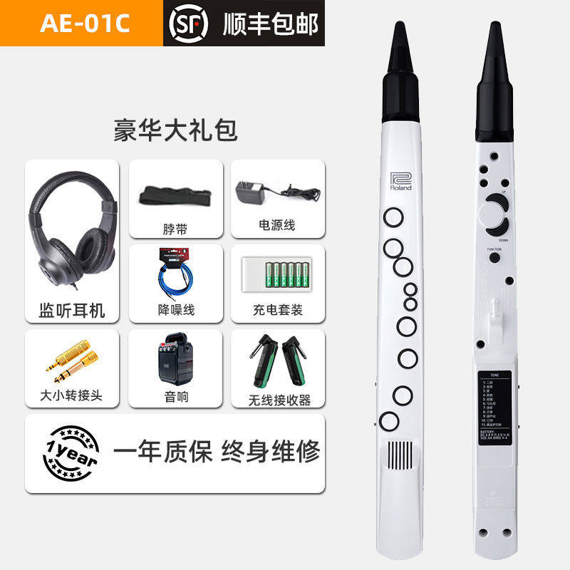 正品Roland罗兰电吹管乐器AE-10正品AE01初学者AE05电子管笛萨克_虎窝淘