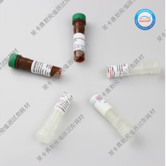 Bioworld Propidium Iodide(PI)Staining Kit，PI试剂盒 核酸染料