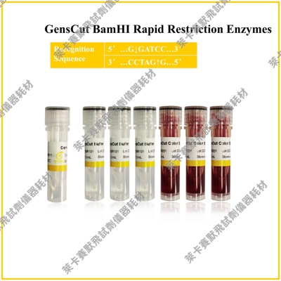 GensCut BamHI，GensCut BclI，GensCut BglII 快速限制性内切酶