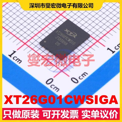 XT26G01CWSIGA WSON-8(6x8) 1Gbit NAND FLASH存储器芯片IC