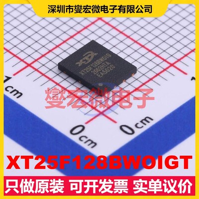 XT25F128BWOIGT WSON-8-EP(5x6) 128Mbit NOR FLASH存储器芯片IC