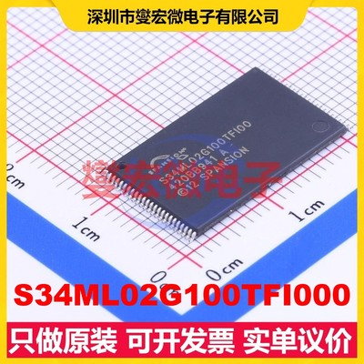 S34ML02G100TFI000 TSOP-48-18.4mm 2Gbit NAND FLASH存储器