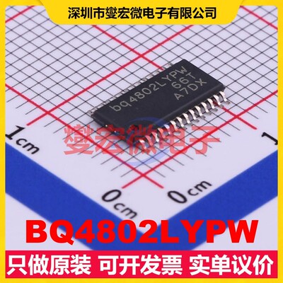 BQ4802LYPW TSSOP-28 2.7V~3.6V 并联 实时时钟