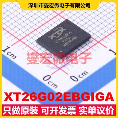 XT26G02EBGIGA BGA-24(6x8) 2Gbit NAND FLASH存储器