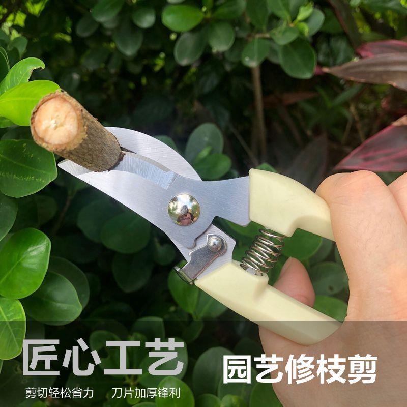 园艺修剪树枝剪刀植物绿植花卉果树剪不锈钢弯口剪专用强力花艺剪