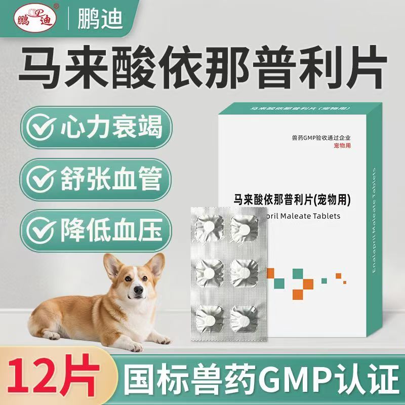马来酸依那普利片宠物犬心脏肥大猫咪狗狗肺心病心衰药专用护心药