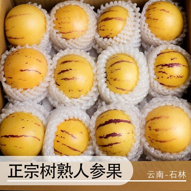 真树上熟正宗云南石林人参果人生果当季热卖新鲜水果产地直发