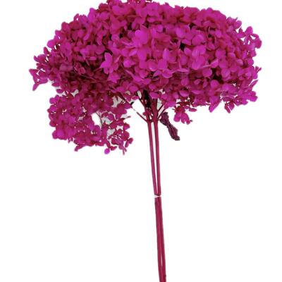 绣球花永生家花花束安娜叶绣球婚礼厅装饰花小材具客布置neuf材料