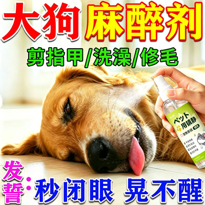 狗狗麻醉镇定剂快速睡眠强力情绪安抚防狗乱叫咬宠物镇静安睡神器