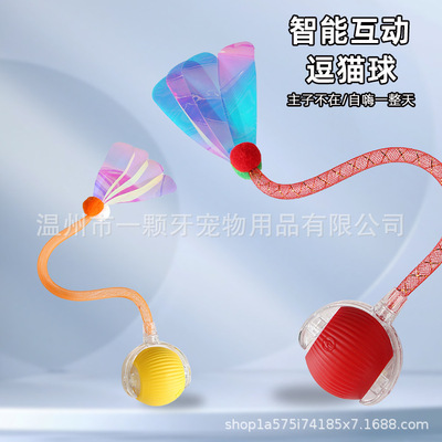 Cross border bite resistant automatic cat teasing ball, cat toy ball, self fun and stress relieving tool with rope, pet