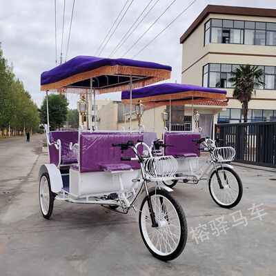 电动三轮观光车景区拉客