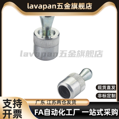 尺寸弹簧定位销BJ765/766-03001 05001 06002 08001 10002