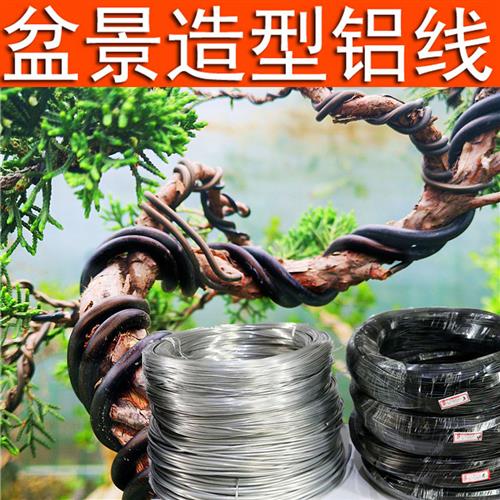 植物造型软铁线黑色盆景树枝苗木定型铁丝绑花多肉金枝玉叶盘扎丝