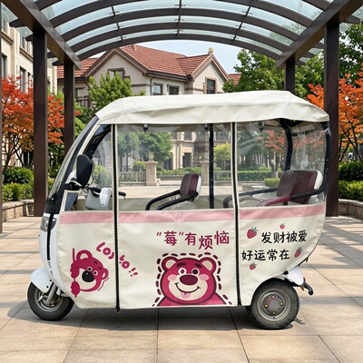 加厚刀刮布遮阳雨篷适用多款车型