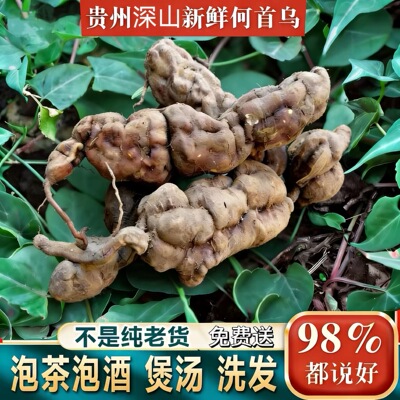 现采野生新鲜何首乌中药材正品500g大片生何乌片护发养发泡酒整颗
