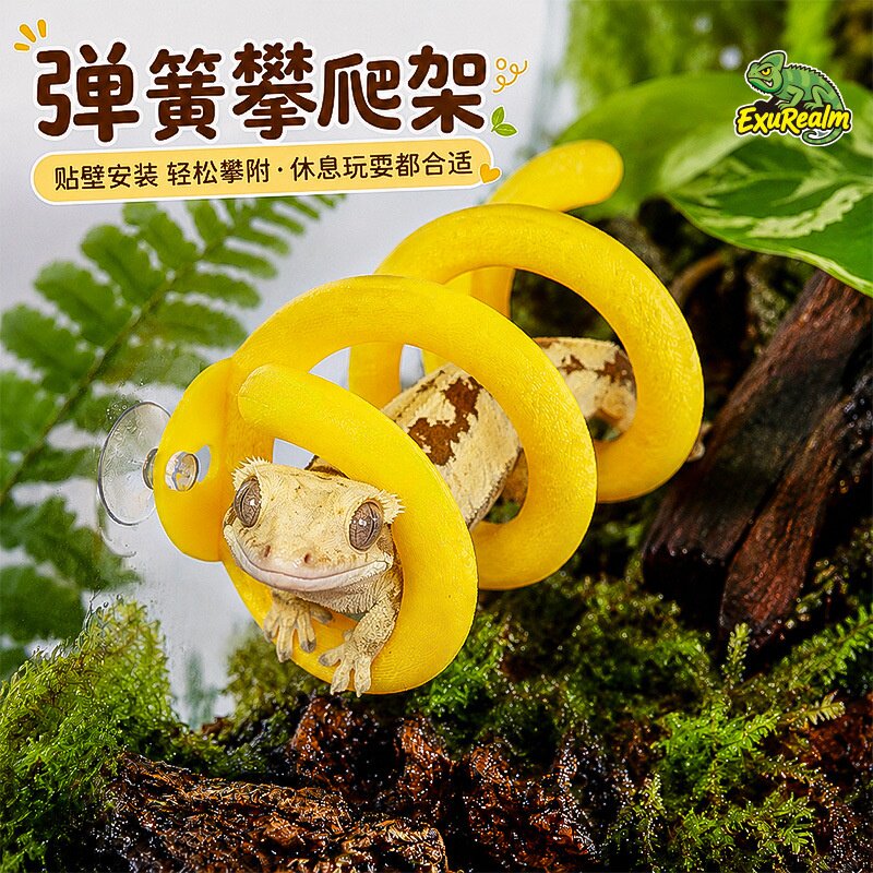 爬宠弹簧攀爬架丰荣攀爬躲避蜕皮豹纹守宫睫角蛇肥尾彩色造景装饰