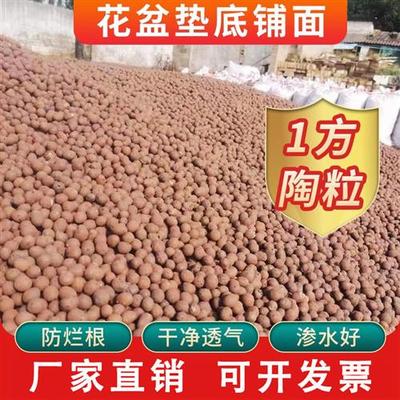 成都发货陶粒花用园艺陶土粒球养花多肉铺面盆栽垫底陶粒滤料透气